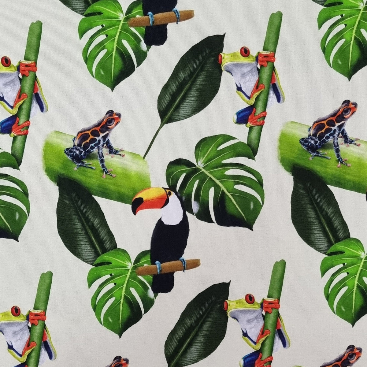 Rainforest frogs pre order fabrics - KP Fabrics